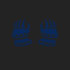 Shawodywody's Feral Druid PvE Build