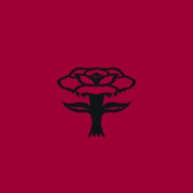 Blades of a Fallen Rose - Guild Summary