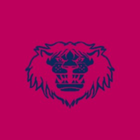 Audacious Warlords - Guild Summary