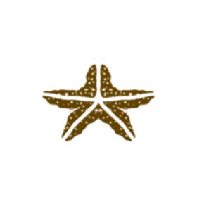 Swol Team Six - Guild Summary